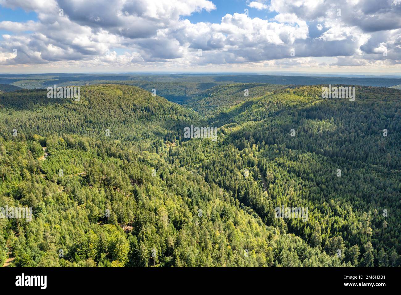 Endless forest to the horizon, Black Forest, Bad Wildbad, Germany Stock ...