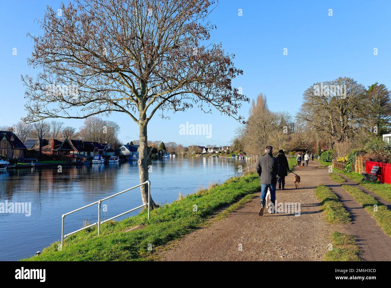 The River Thames and riverside at Laleham Staines on a sunny winters ...