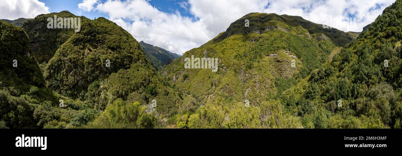 Panorama, Wooded mountains, View from the hiking trail at Levada das 25 ...