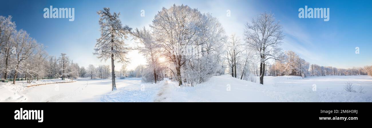 Panorama beautiful winter park hi-res stock photography and images - Alamy