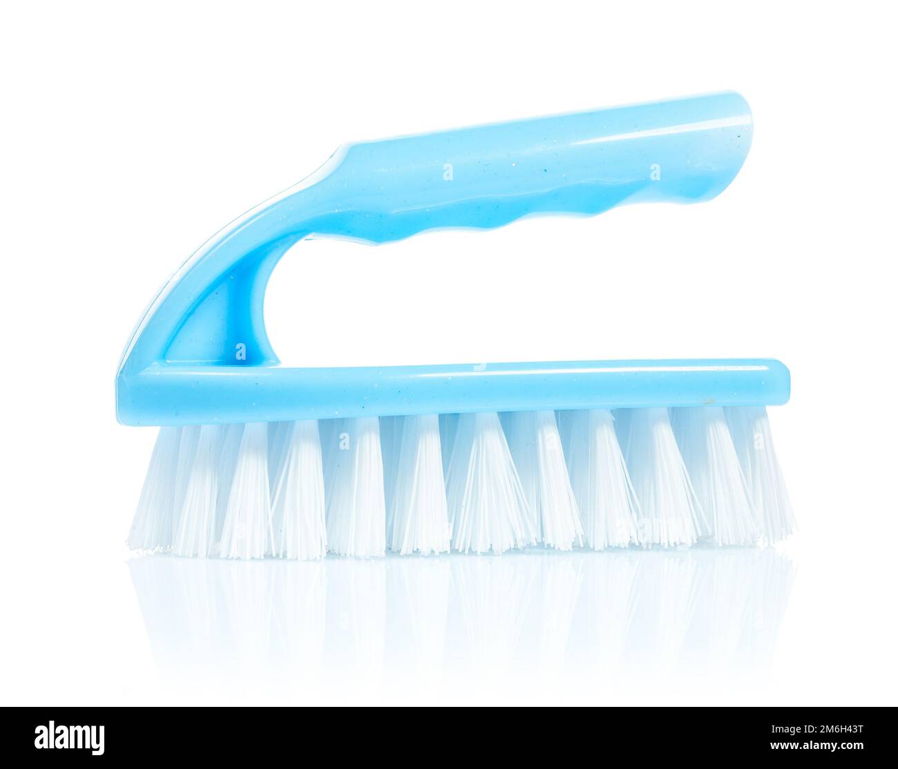 blue scrub brush Stock Photo - Alamy