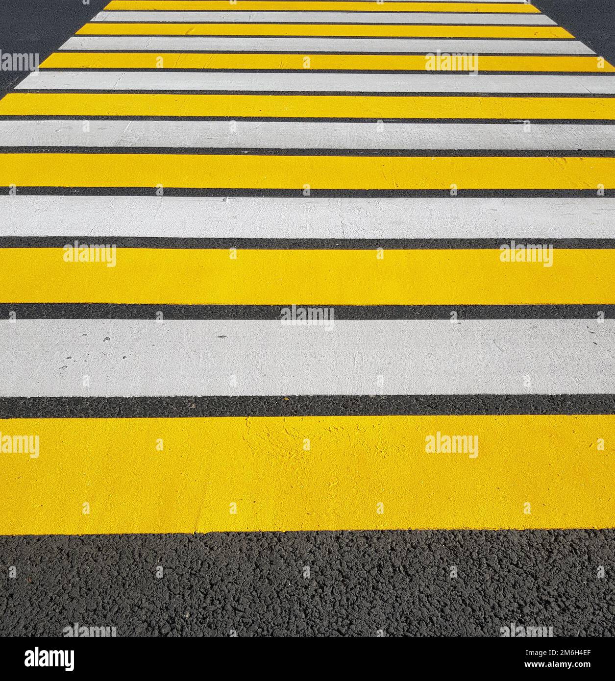 Freshly painted pedestrian crossing with yellow and white markings on ...