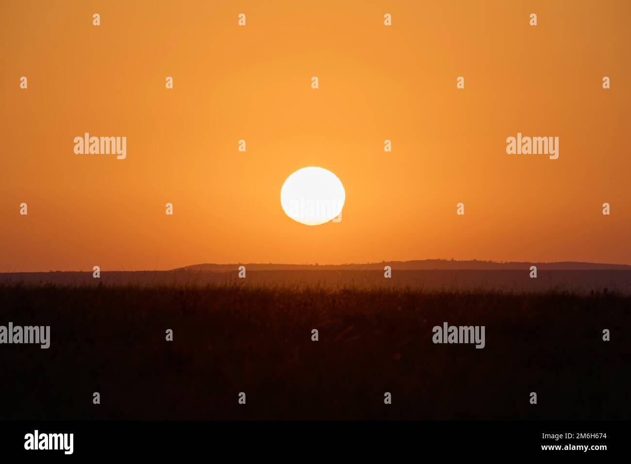 Savannah landscape with sun at sunrise, Masai Mara National Reserve ...