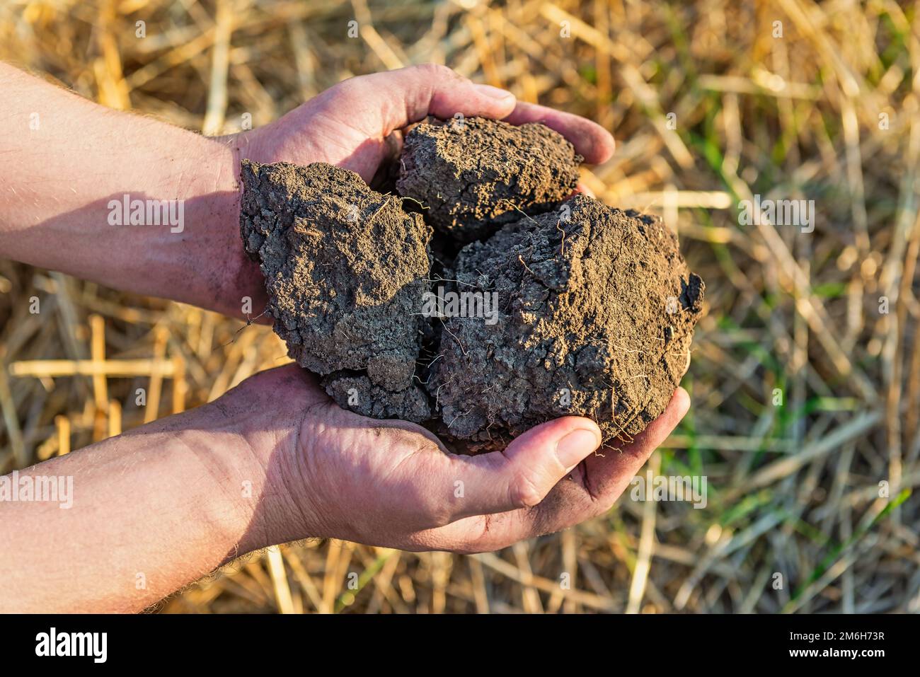 Soil in hands Stock Photo - Alamy