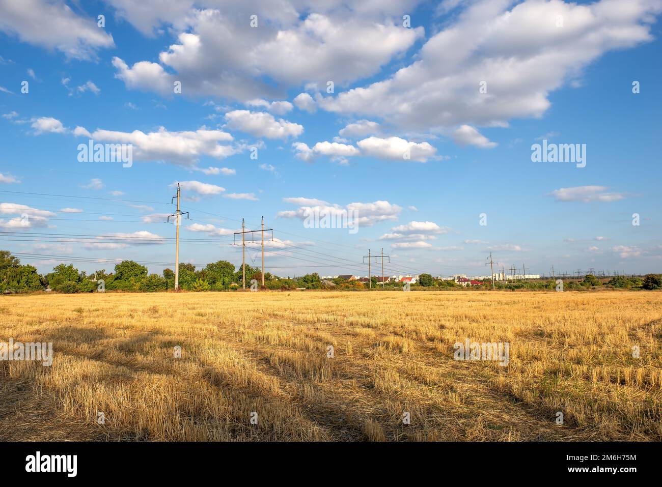Poles field hi-res stock photography and images - Alamy
