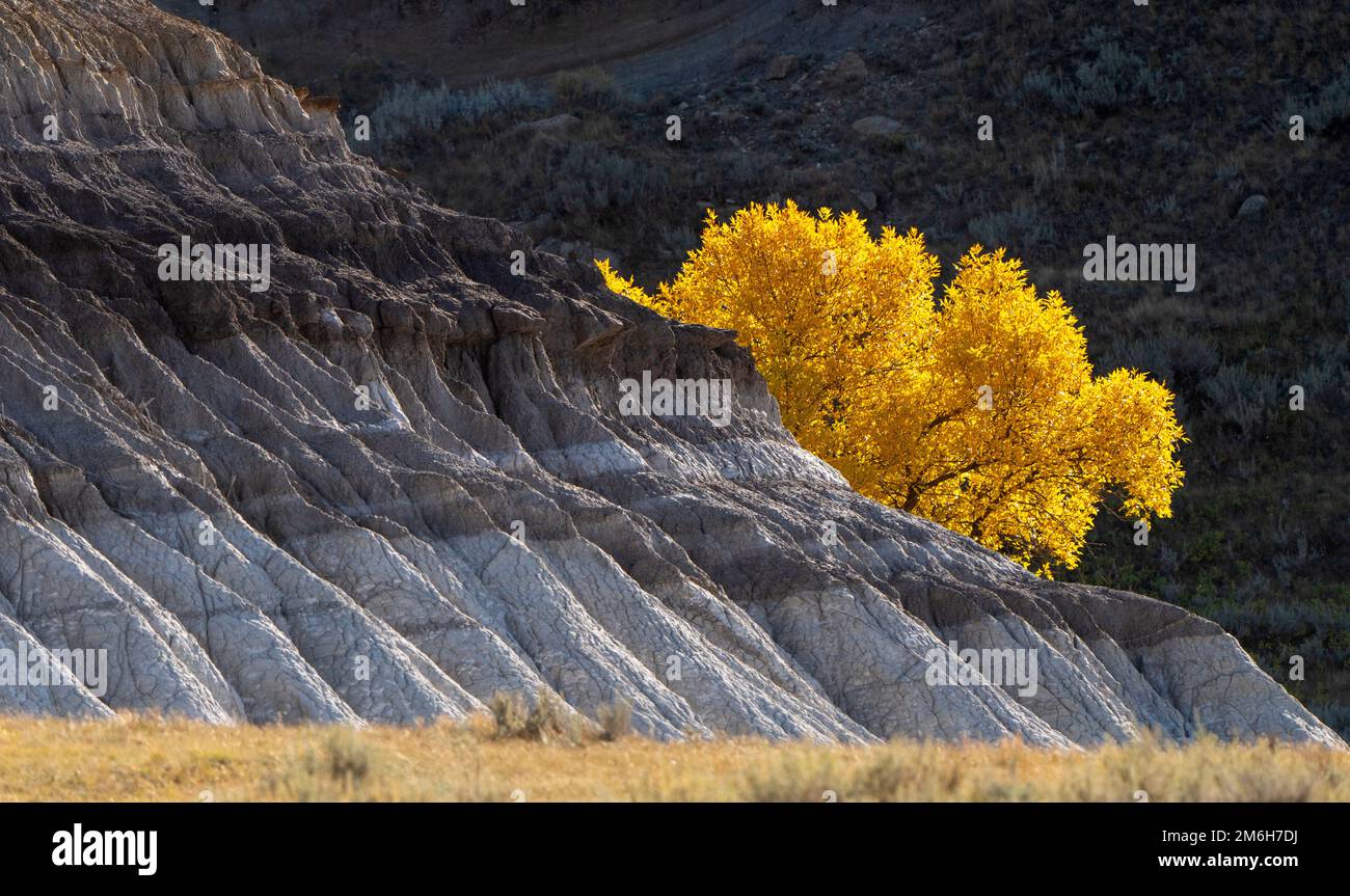 Autumn Scene Canada Stock Photo - Alamy