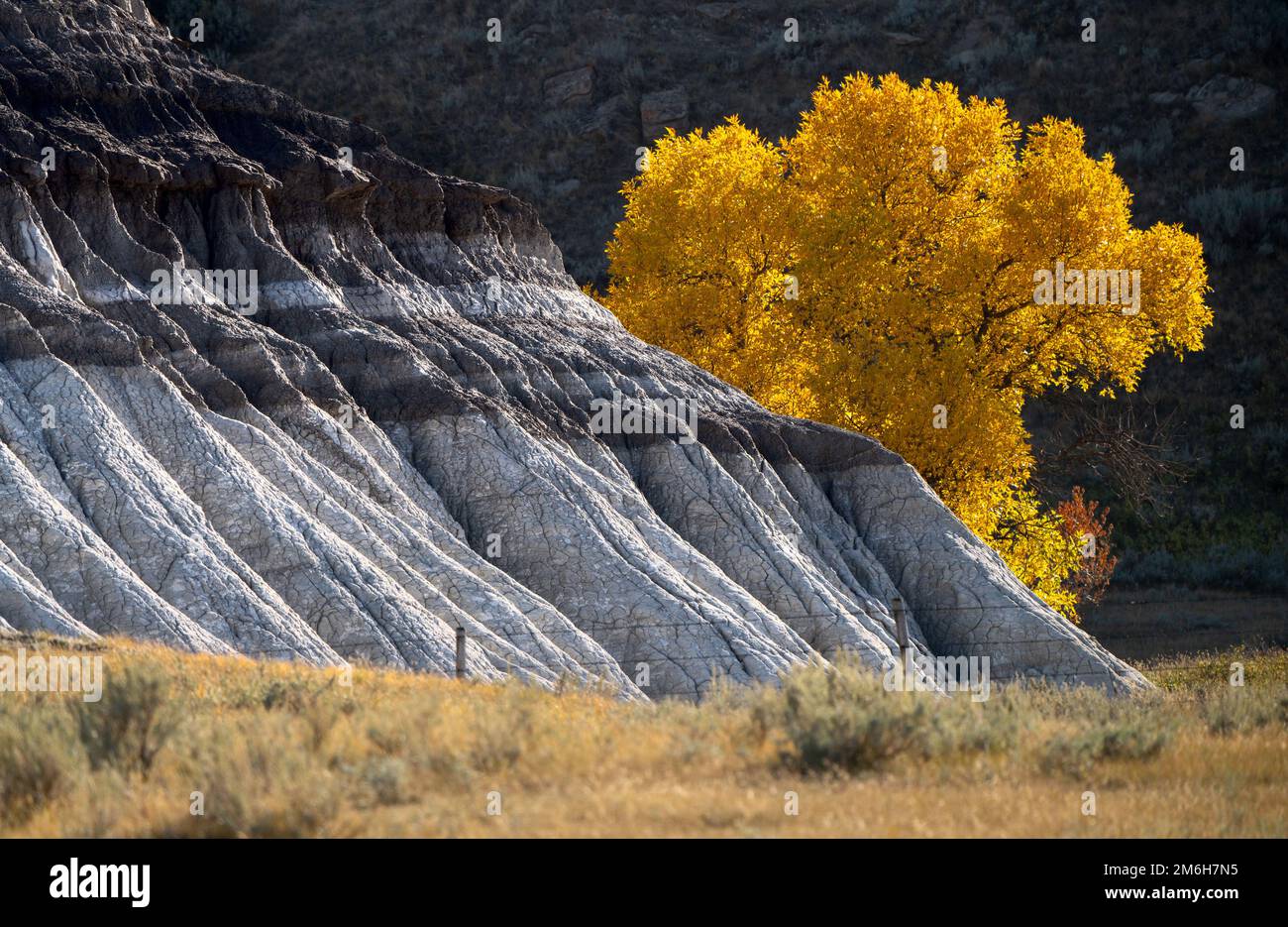 Autumn Scene Canada Stock Photo - Alamy