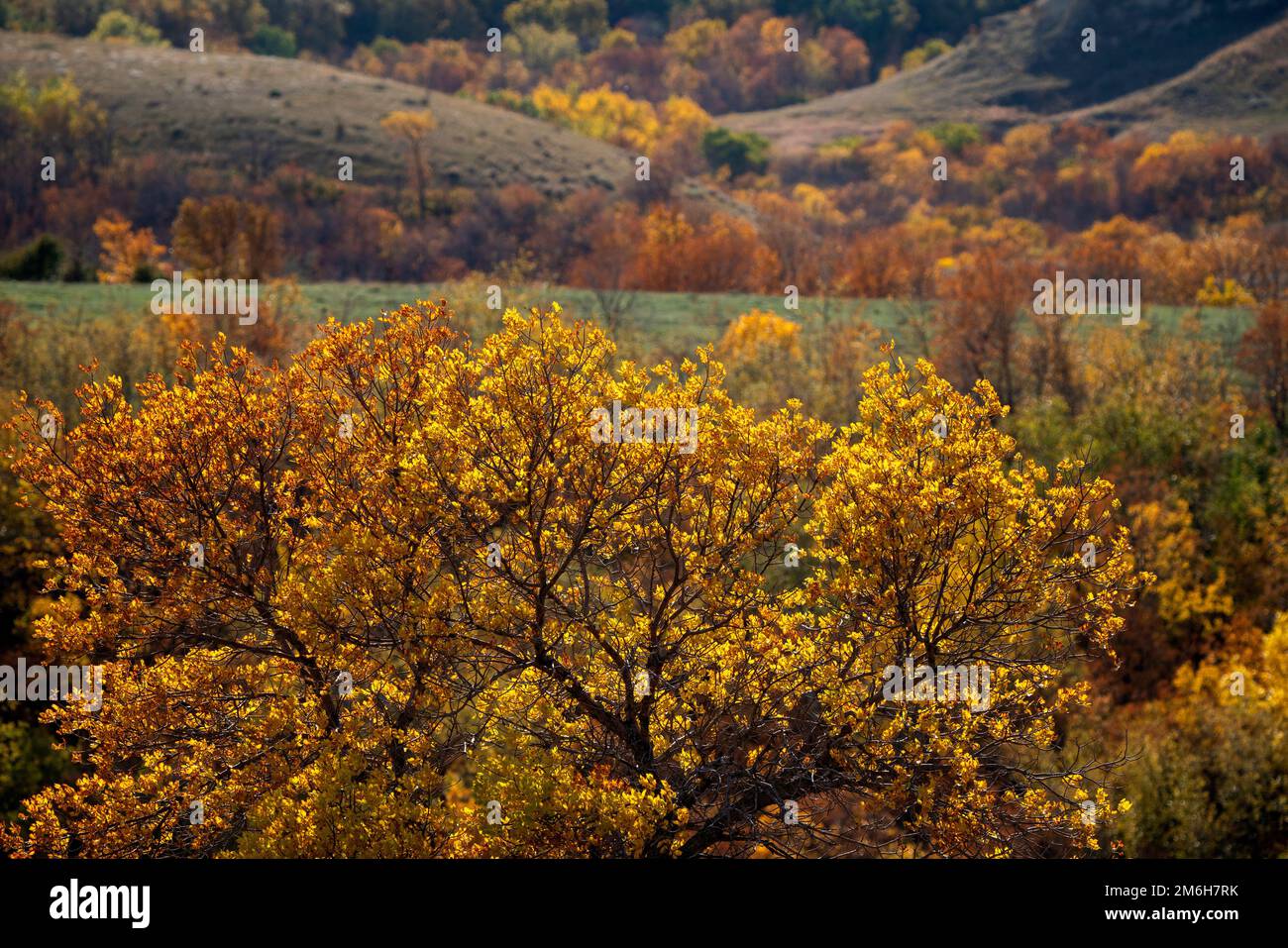 Autumn Scene Canada Stock Photo - Alamy