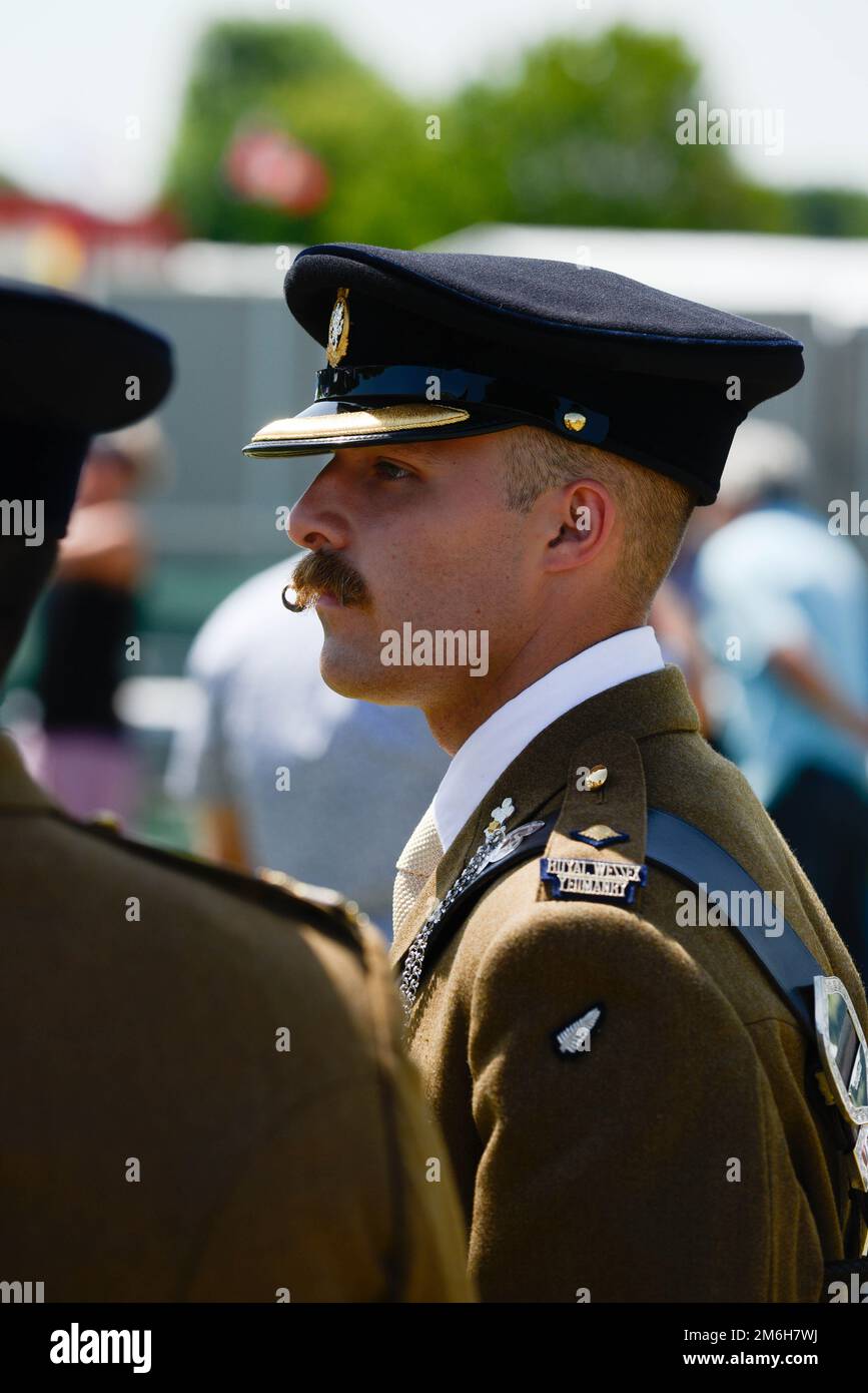 a member of the royal wessex yeomanry at Armed forces day 2019 Stock ...