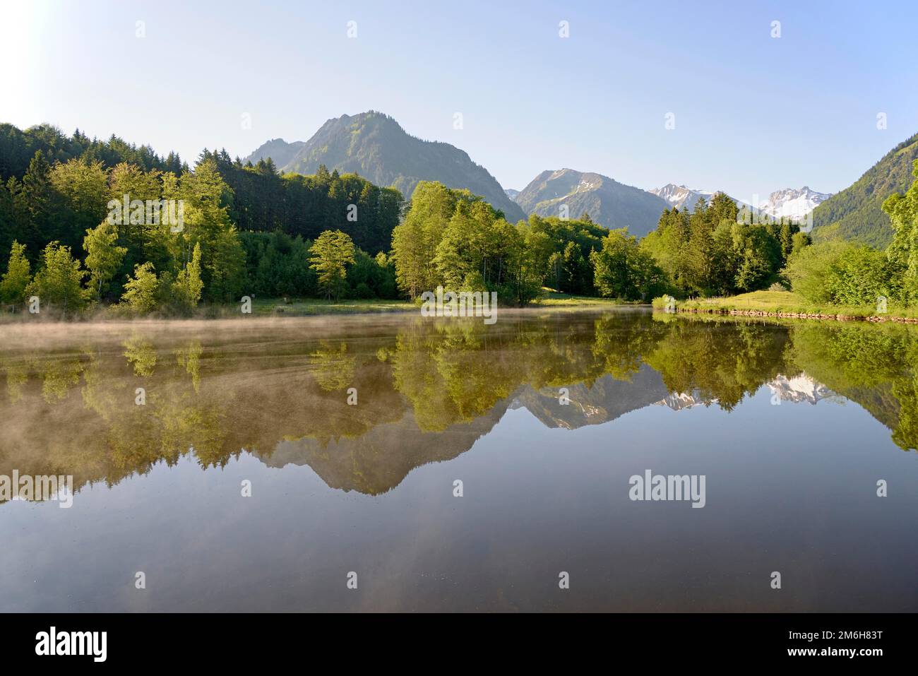 Moor pond, idyllic lake, reflection of the landscape on the water ...