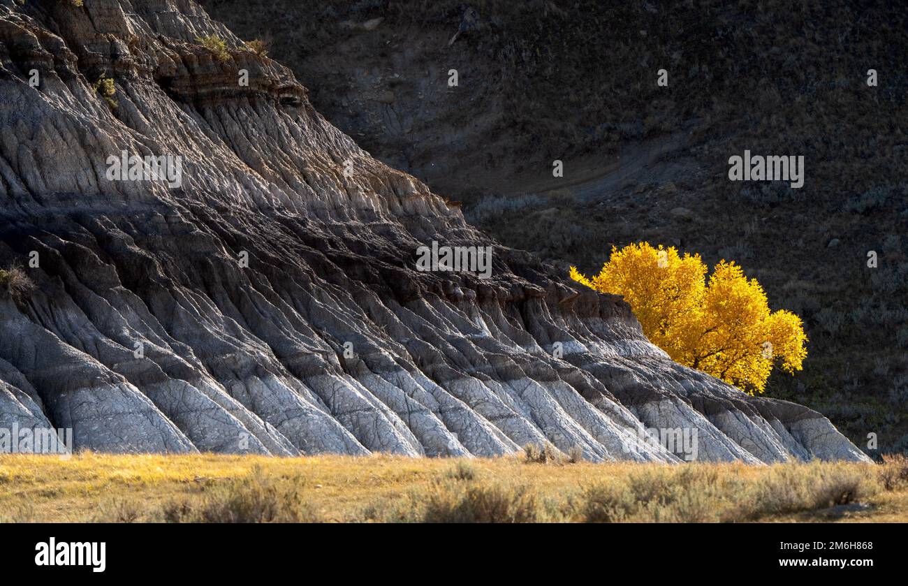 Nature canada hi-res stock photography and images - Alamy