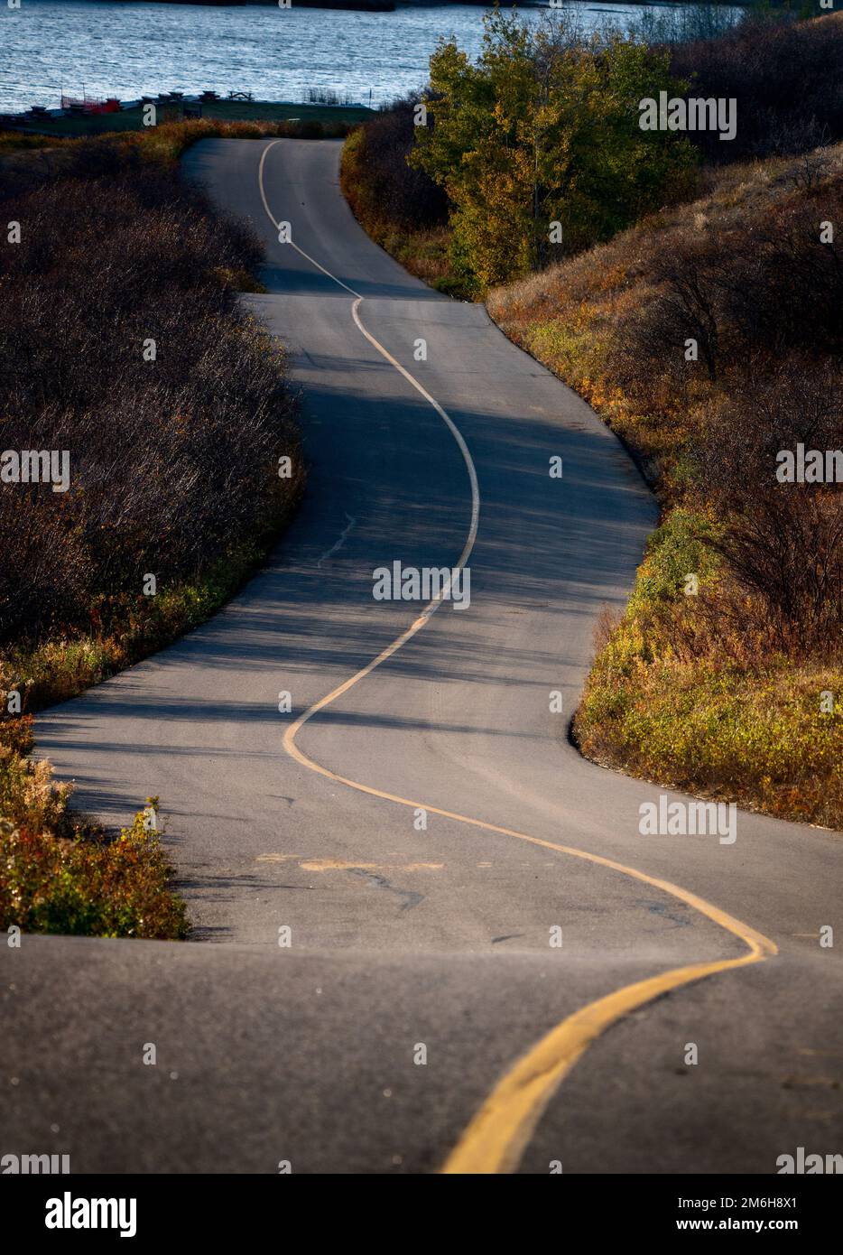 Cypress hill alberta hi-res stock photography and images - Alamy