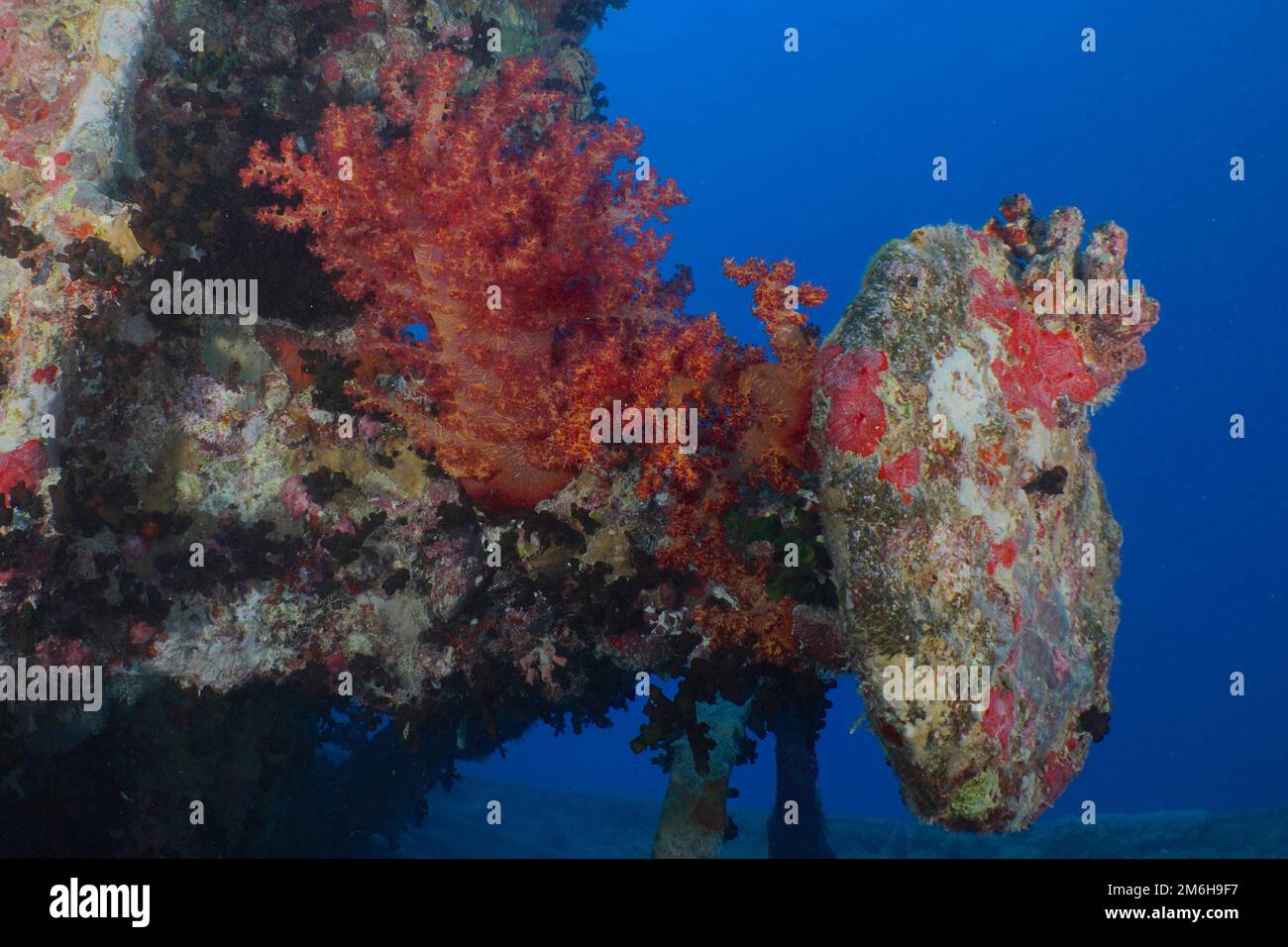 Thistlegorm locomotive hi-res stock photography and images - Alamy