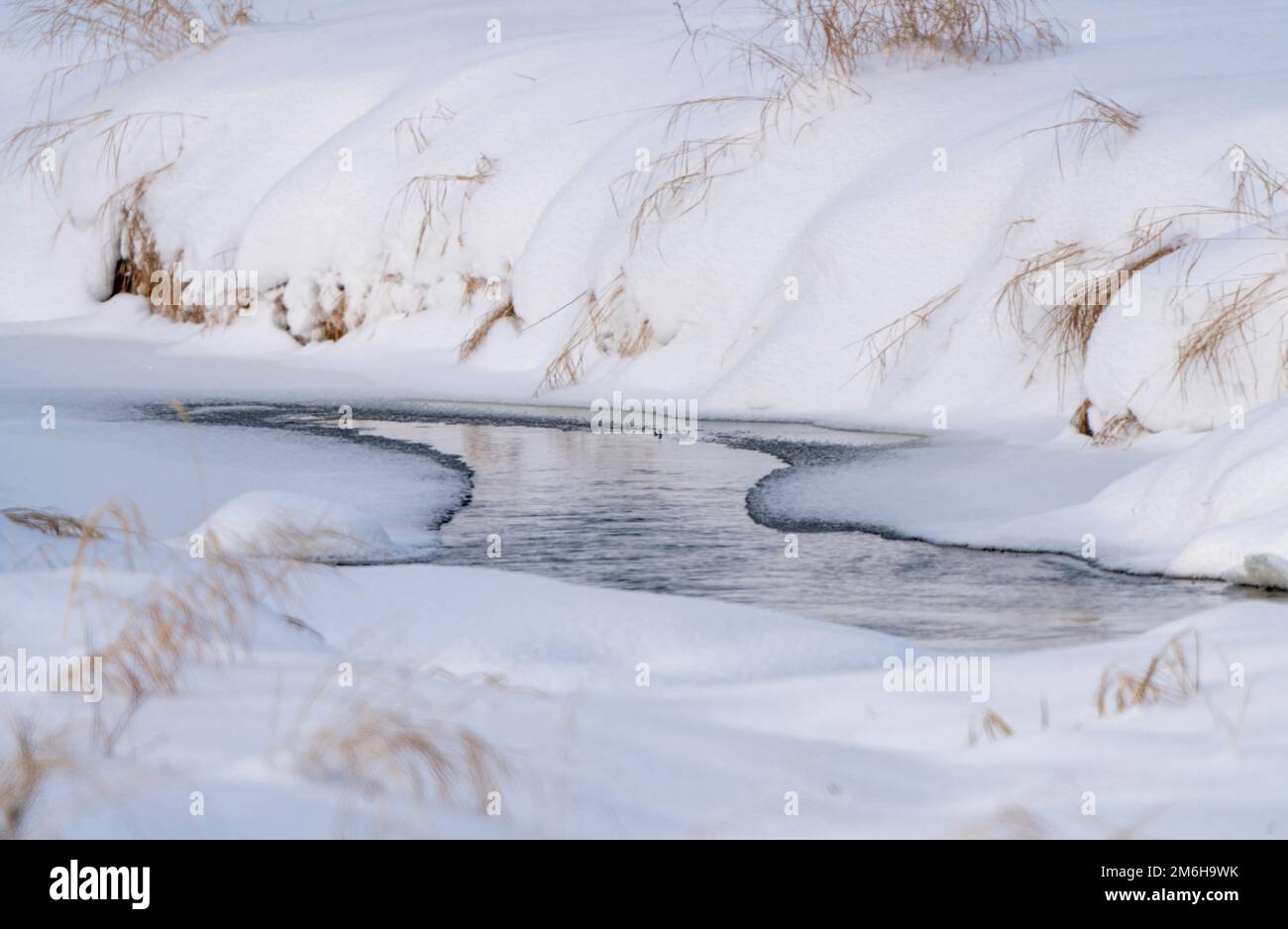 Winter Scene Manitoba Stock Photo - Alamy