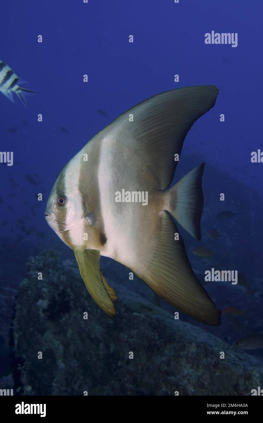 Ship wreck location hi-res stock photography and images - Alamy