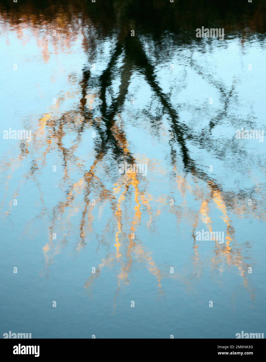 Tree Reflection in River Stock Photo - Alamy