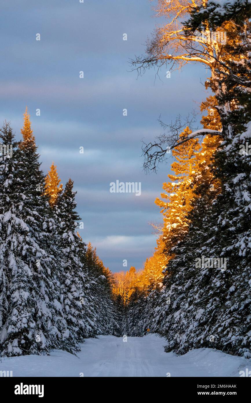 Sunrise Waskesiu Saskatchewan Stock Photo - Alamy