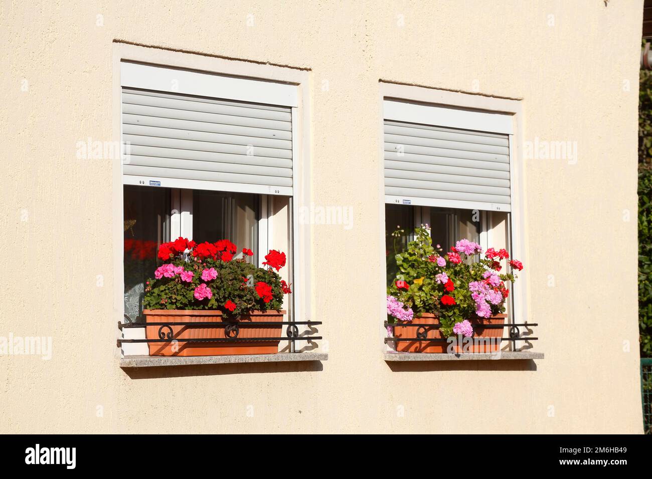 Windows with flower boxes and shutters, Germany Stock Photo - Alamy