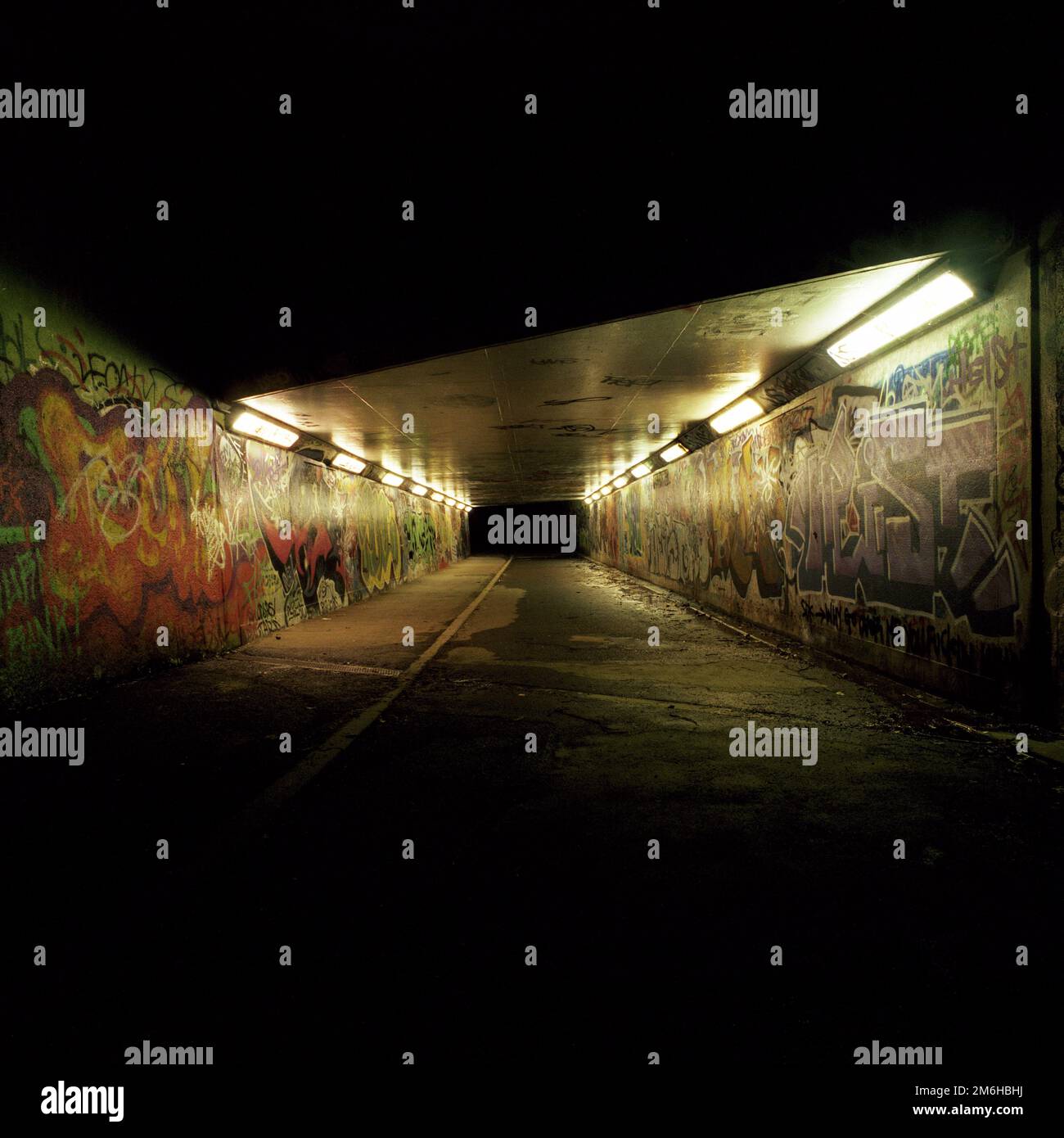 a path and tunnel leading under The Avenue through southampton common ...