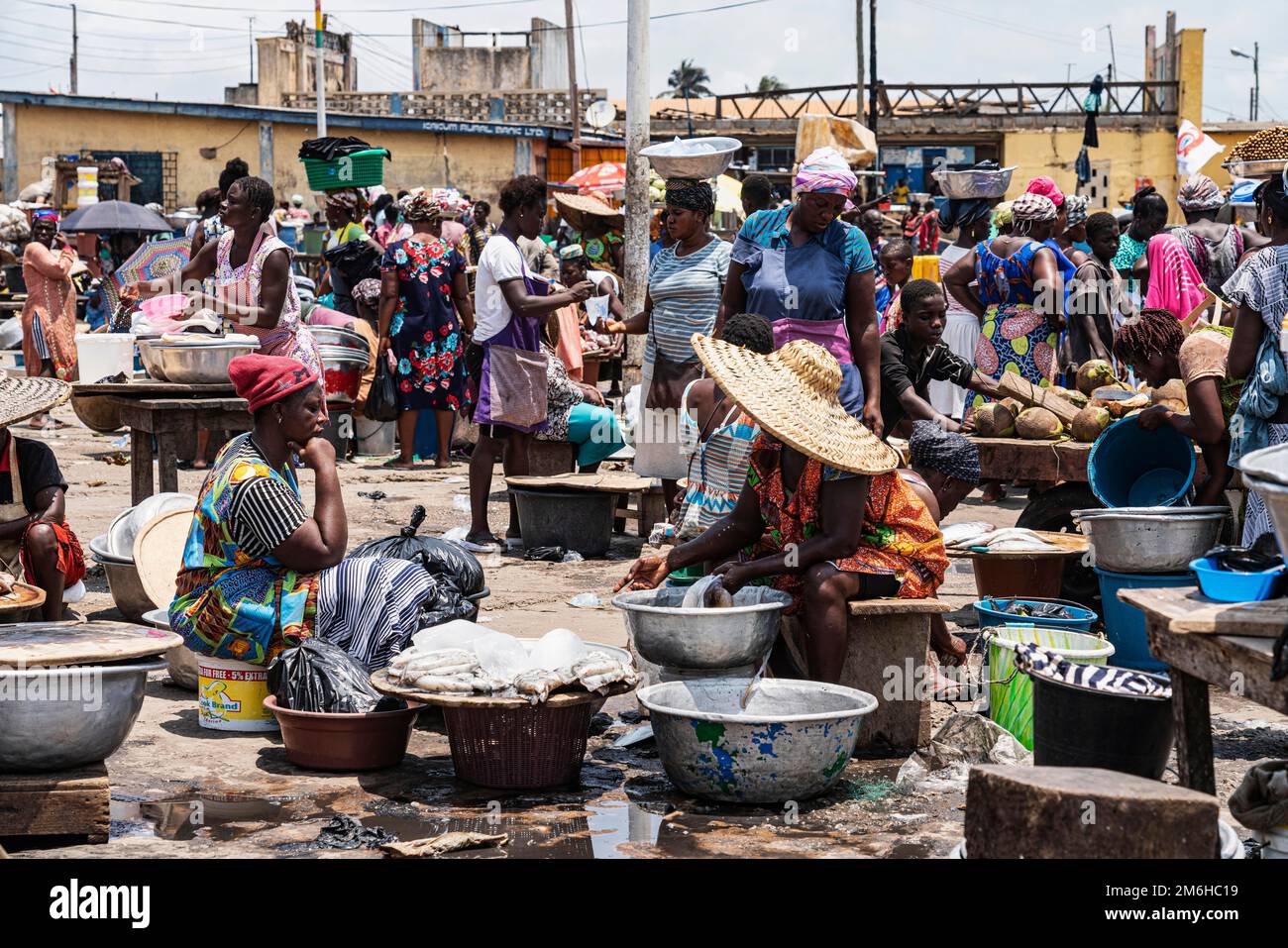 Women, fish seller, fish market, Elmina fishing port, Gold Coast, Ghana ...