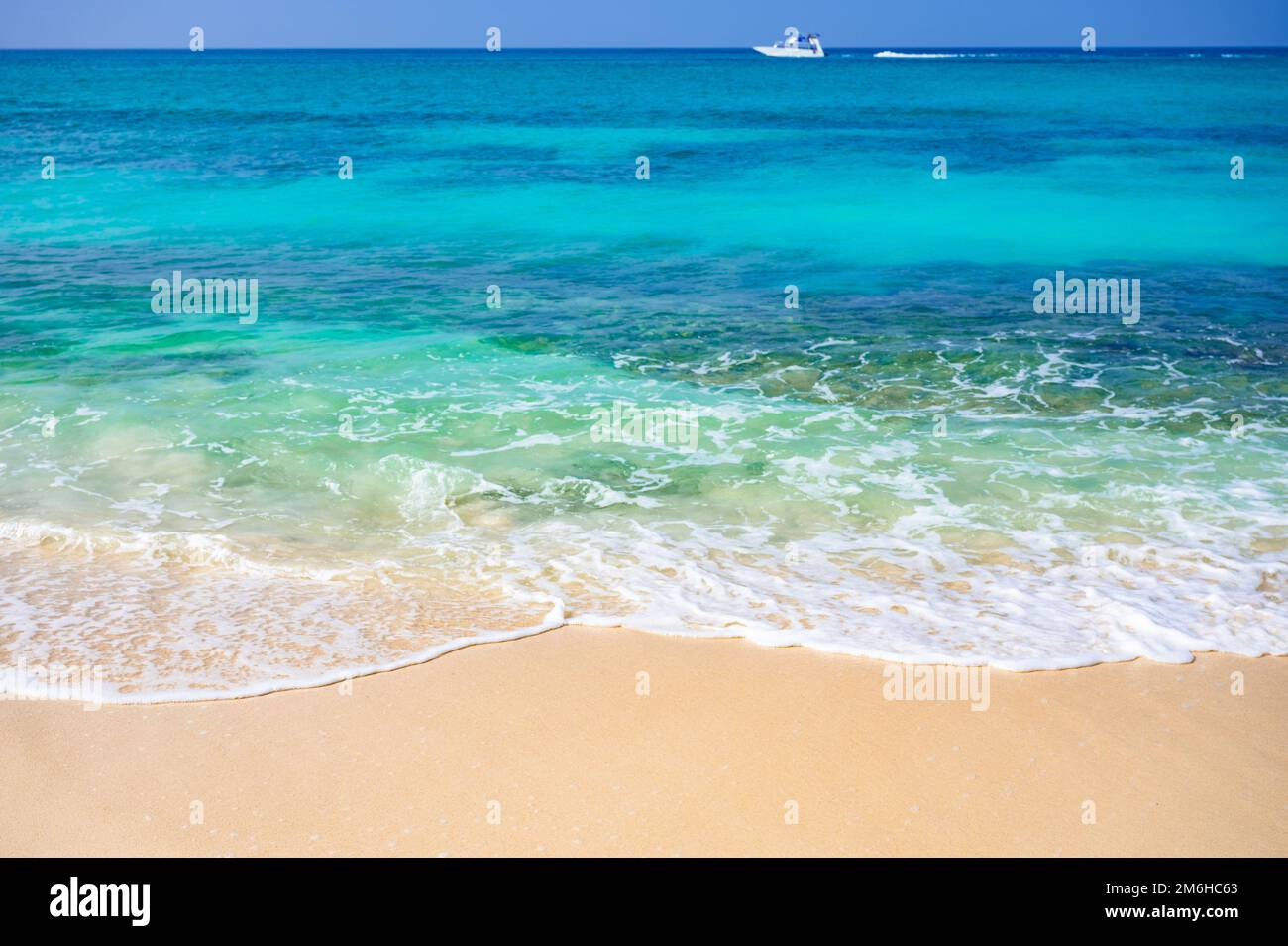 Magical paradise beach of the Caribbean sea Stock Photo - Alamy