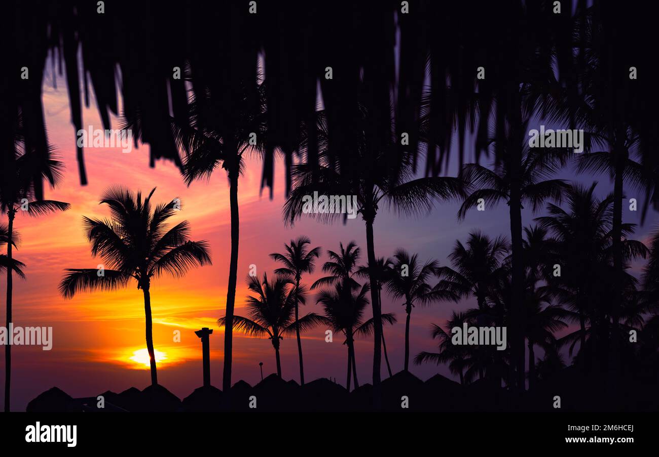 Beautiful sunset of the caribbean Stock Photo - Alamy