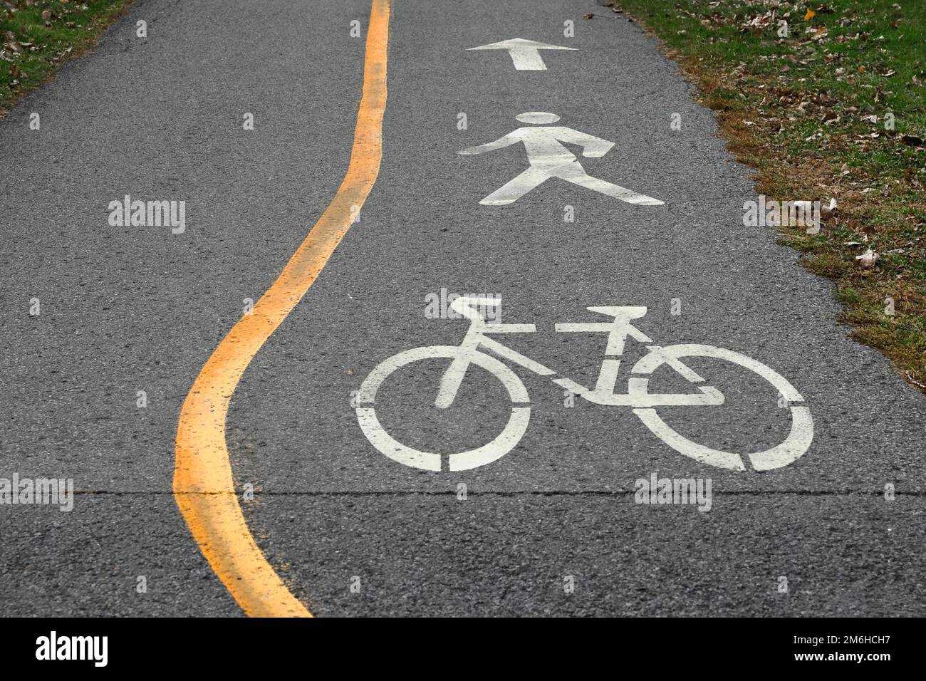 Road marking for mixed use, Province of Quebec, Canada Stock Photo - Alamy