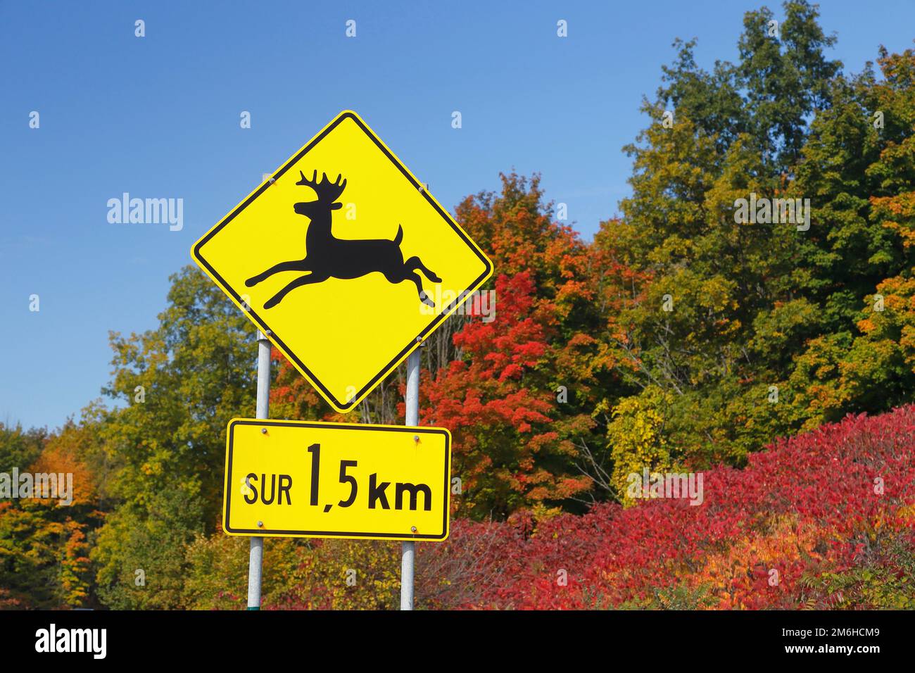 Traffic sign on country road, close up, Province of Quebec, Canada ...