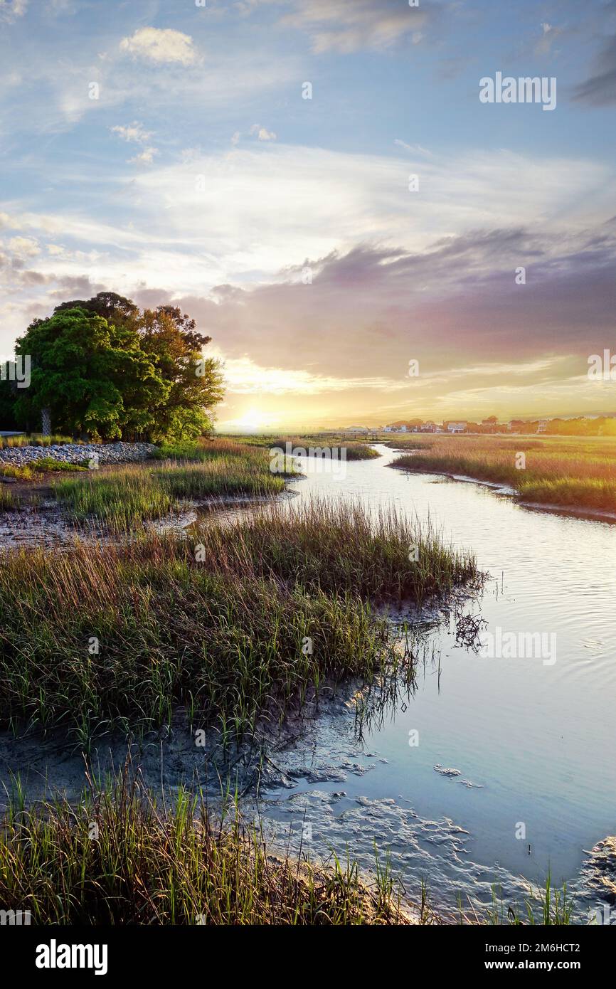 Coastal homes in the distance along the marsh waterways in the Low ...