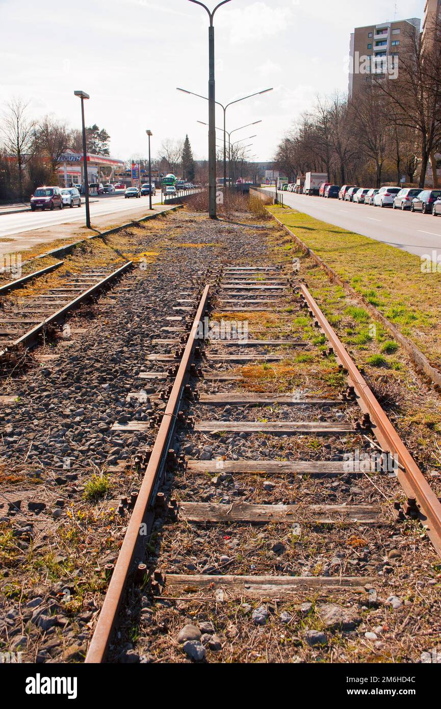 Dead tram track, former tram line, disused, overgrown with trees and ...