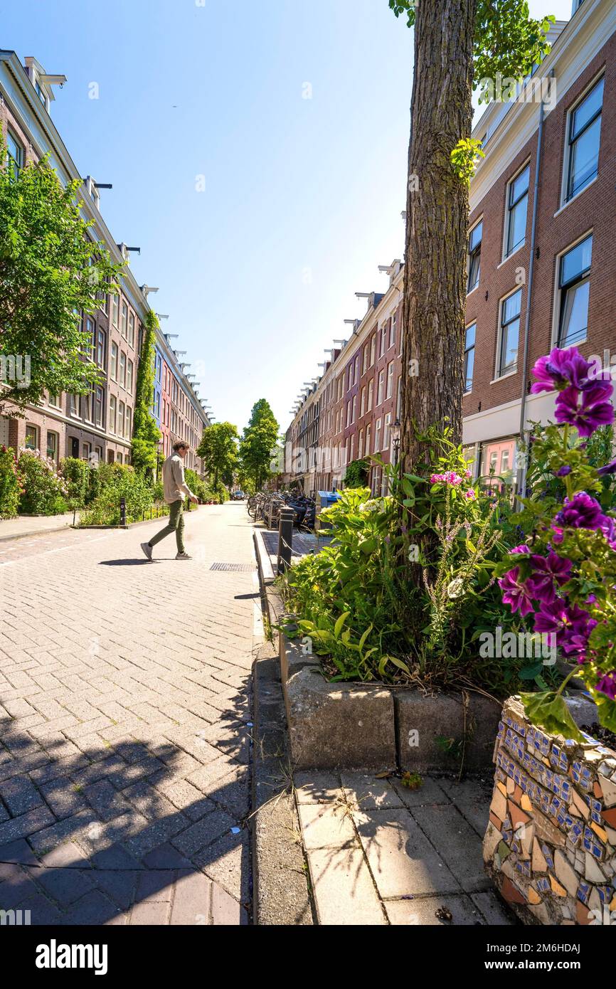 Green streets in the big city, Amsterdam, Netherlands Stock Photo - Alamy
