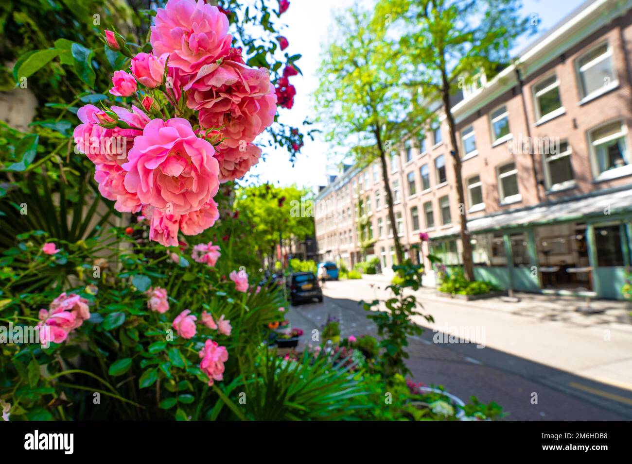 Nature in big city hi-res stock photography and images - Alamy