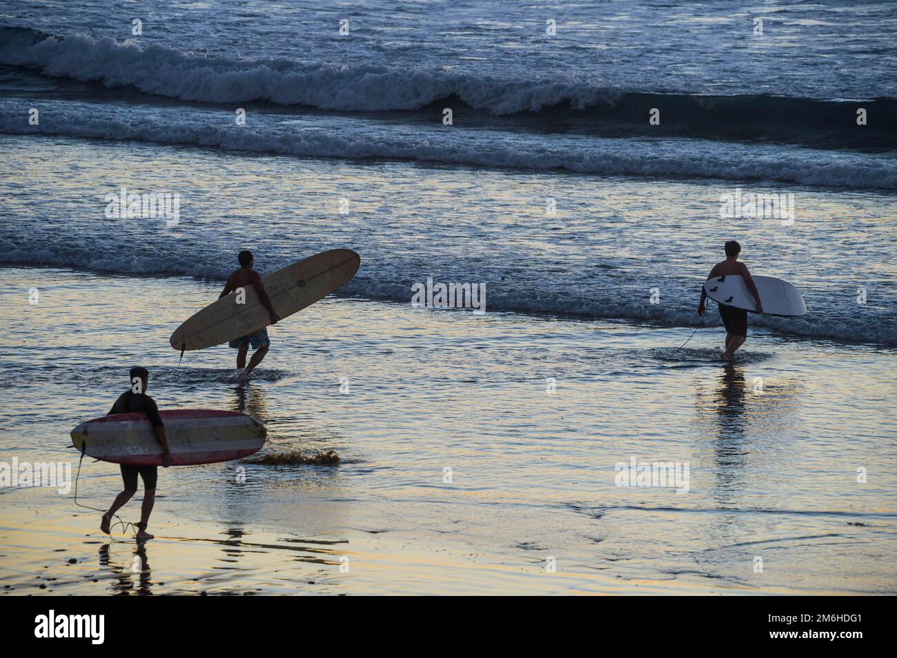 Surfers in backlight in the ocean of Del Mar, California, USA Stock ...