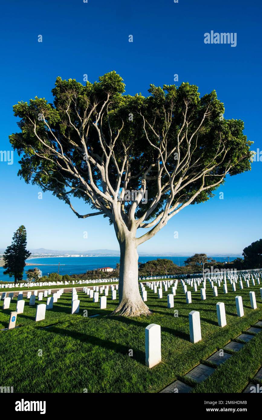 Fort Rosecrans National Cemetery, Cabrillo National monument, San Diego ...