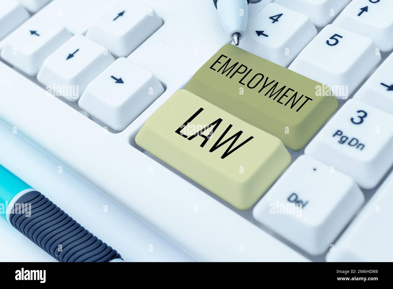 Conceptual display Employment Law. Concept meaning deals with legal ...
