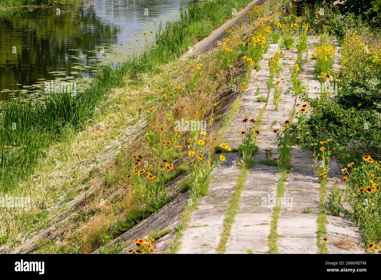 Warm embankment hi-res stock photography and images - Alamy