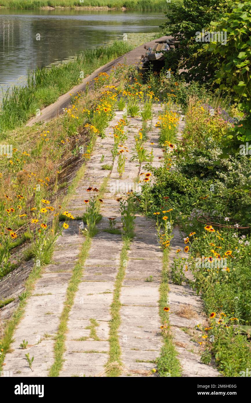 Levee walkway hi-res stock photography and images - Alamy