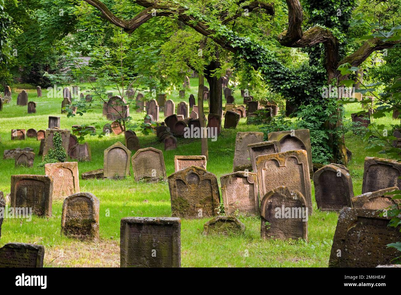 Jewish Cemetery Worms Germany Stock Photo - Alamy