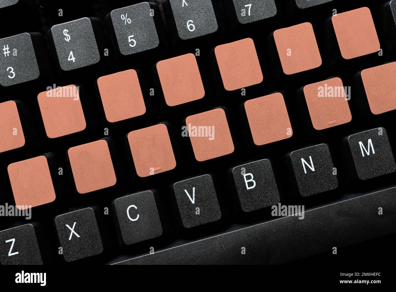 Creating Business Data Storage, Typing Budget Spending Record, Learning ...