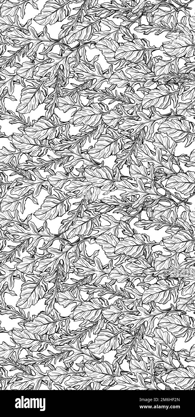 Leaves hand drawn pattern Black and White Stock Photos & Images - Alamy