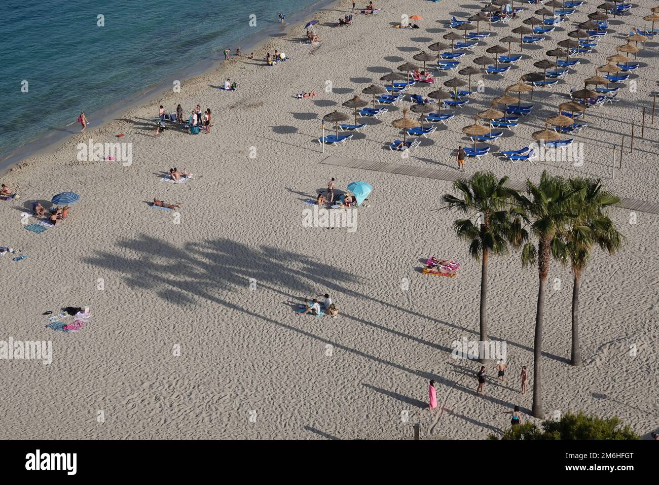 A beach scene in the summer with sunbathers, sun loungers, and parasols ...