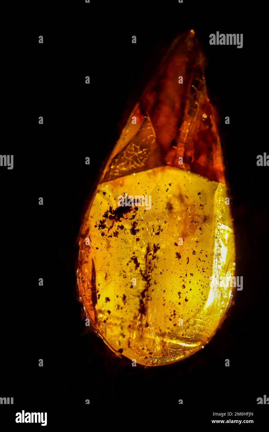 Amber in its natural form and warm color. Amber is often made into ...