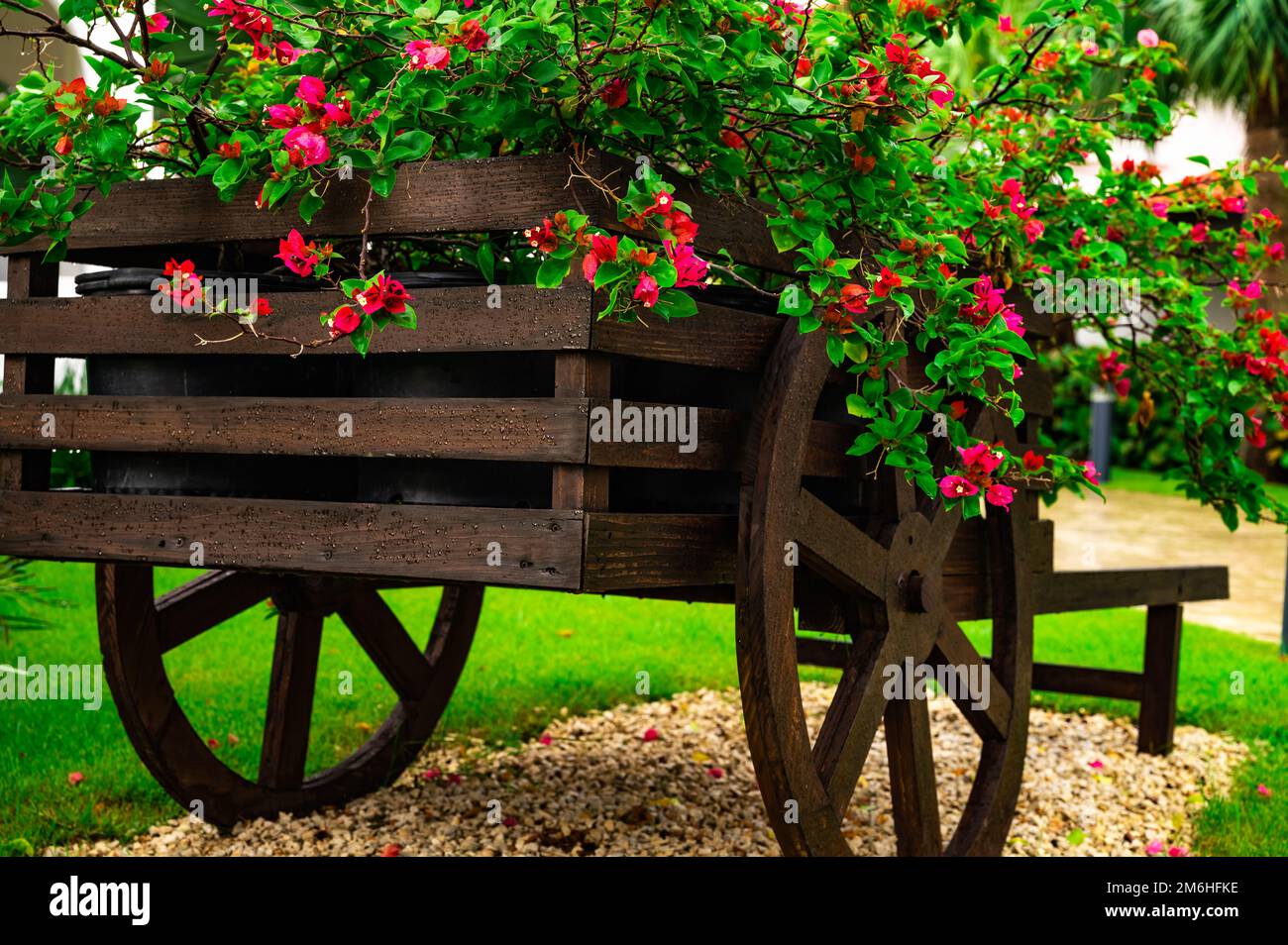 Decorative wooden cart with flowers Stock Photo - Alamy
