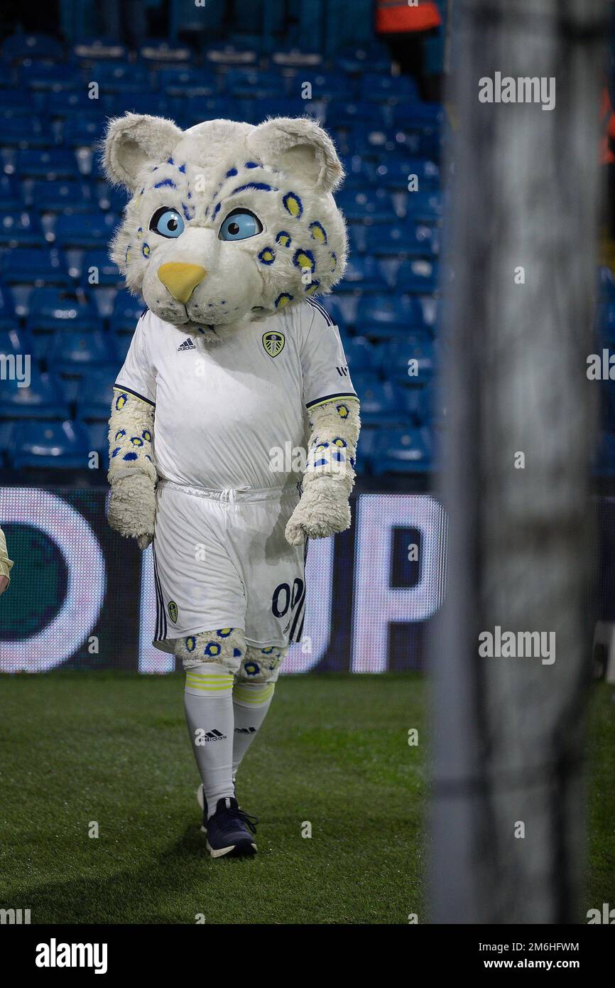 Leeds united mascot hi-res stock photography and images - Alamy