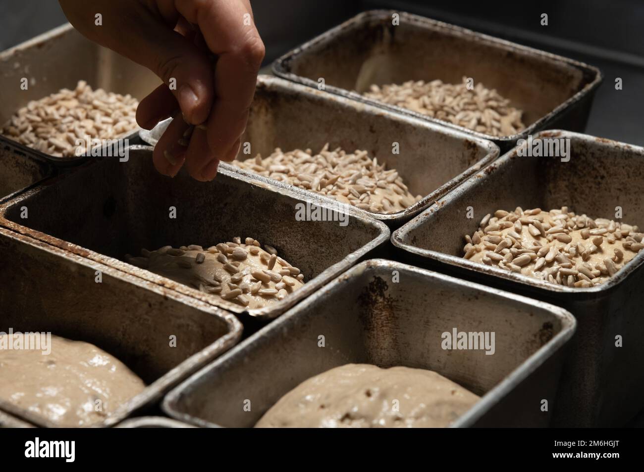 Before seeds form hi-res stock photography and images - Alamy