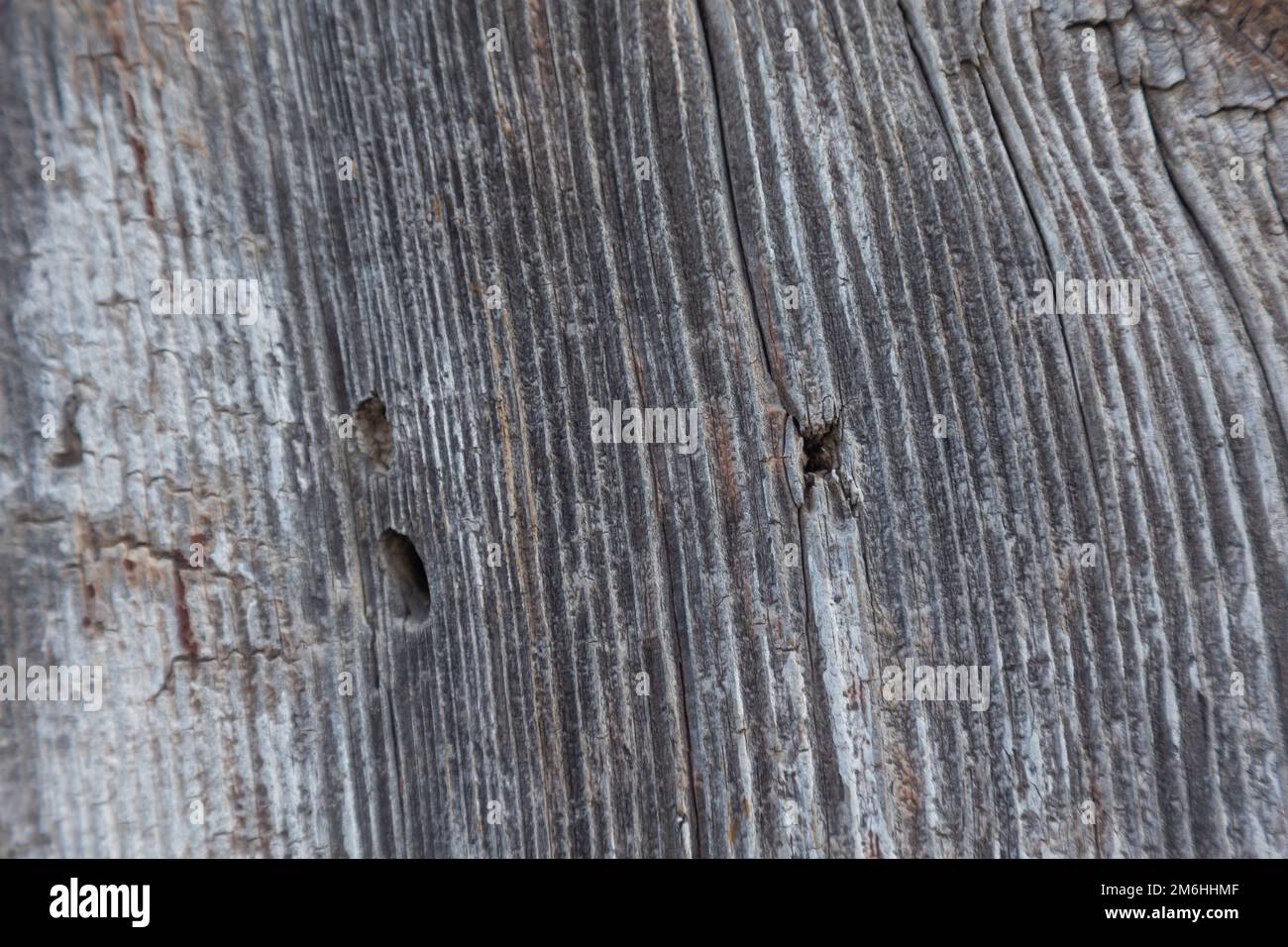 Old weathered wooden beam with distinctive grain - texture, pattern ...