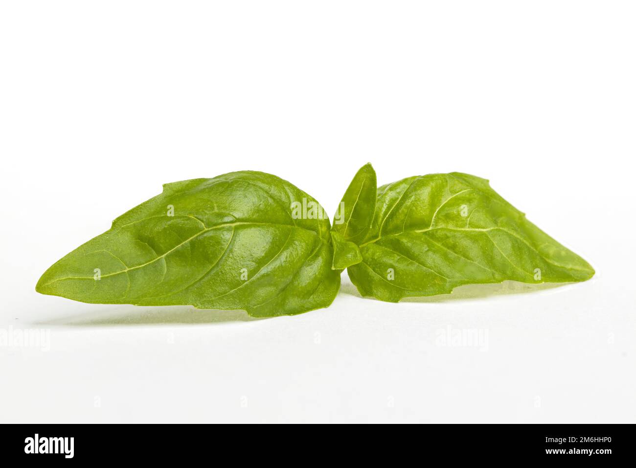 Vibrant basil hi-res stock photography and images - Alamy