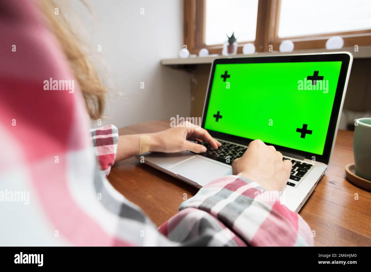 Woman using laptop with green screen. Business, communication ...