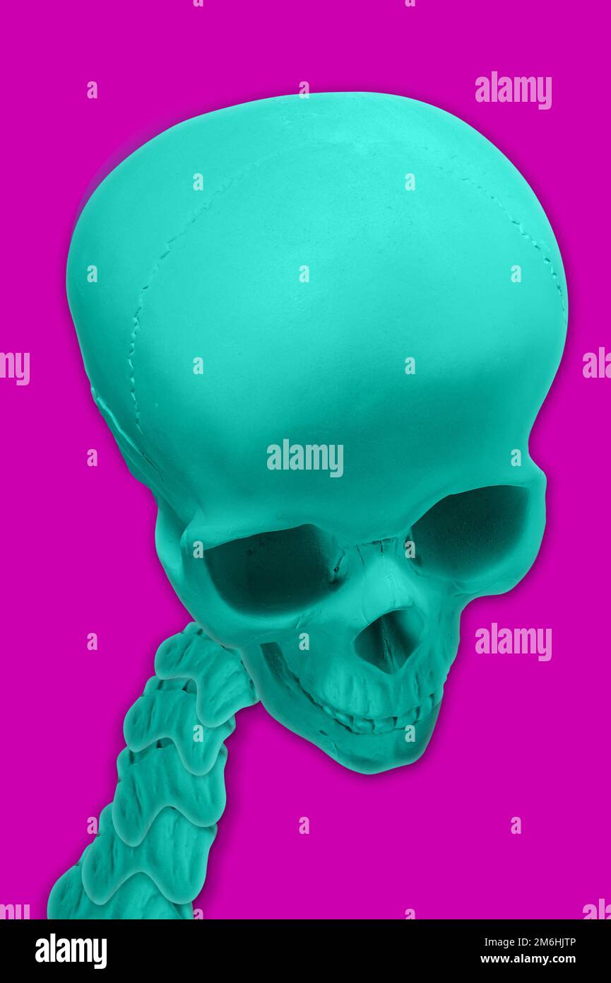 Unusual strange green alien skull with huge eye sockets isolated on ...