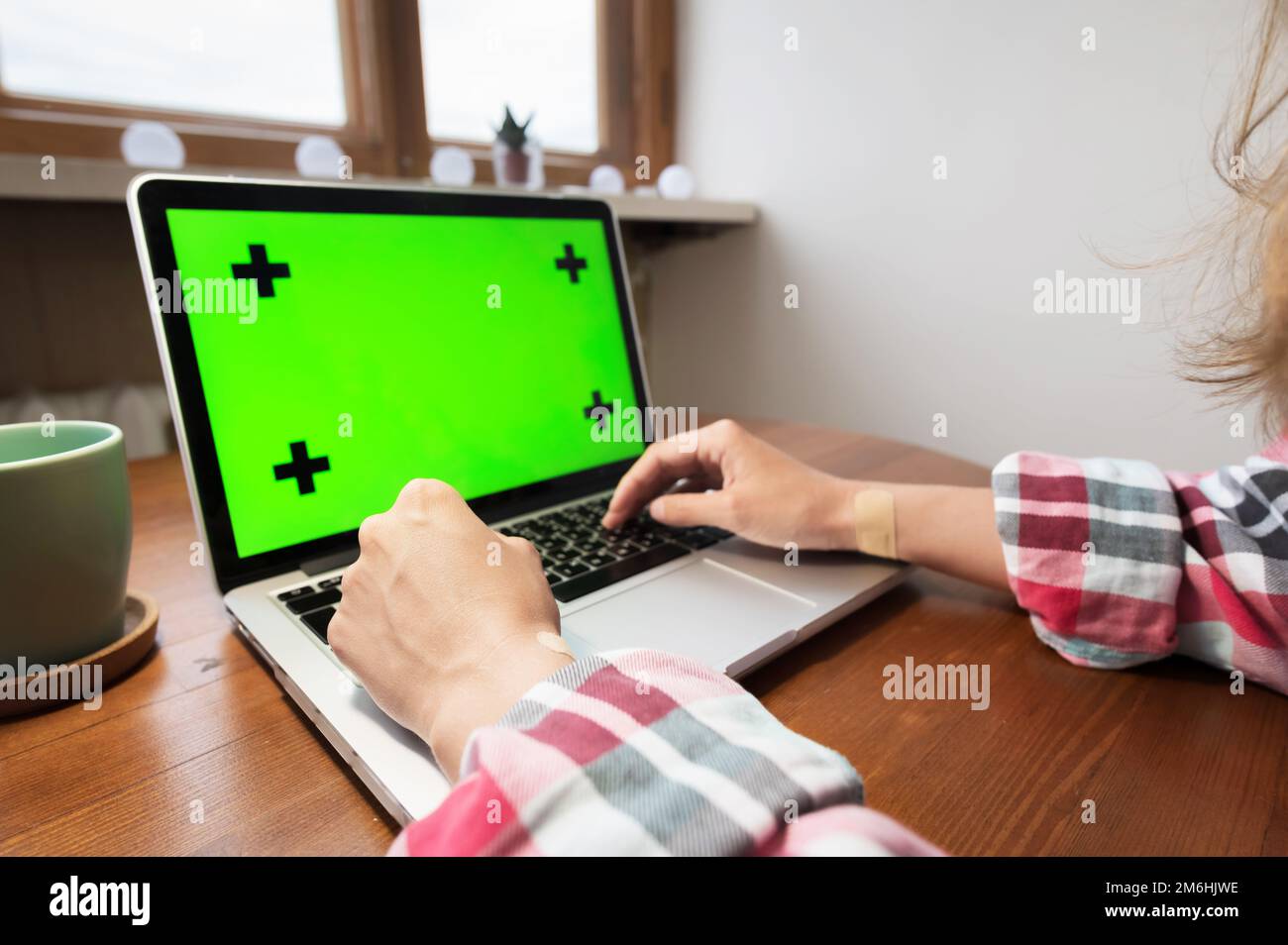 Woman using laptop with green screen. Business, communication ...